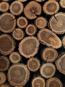Types of Wood Uses: The Comprehensive Guide to Wood Varieties and ...