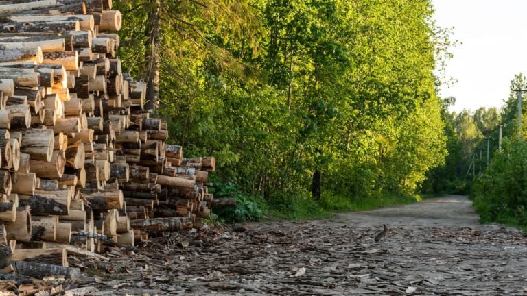 Deciphering Lumber Dimensions: A Comprehensive Guide - Learn ...