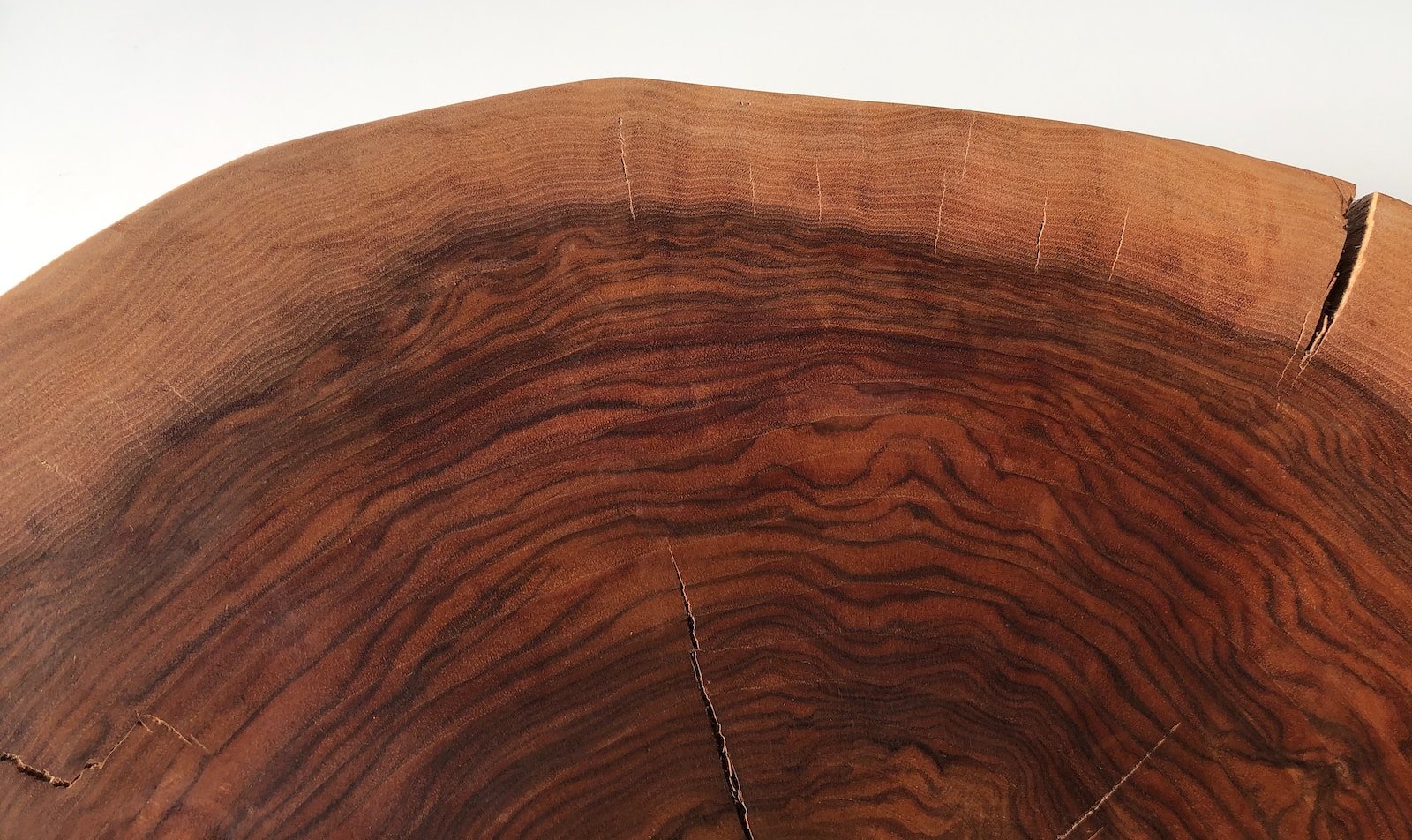 Wood Anatomy Insights: Exploring Cellular Structure, Growth Rings, and ...
